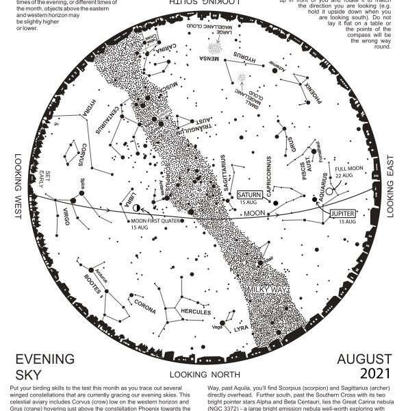 SAAO | Whats Up – August 2021