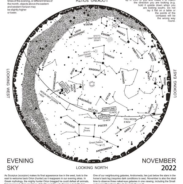 SAAO | Whats Up – November 2022