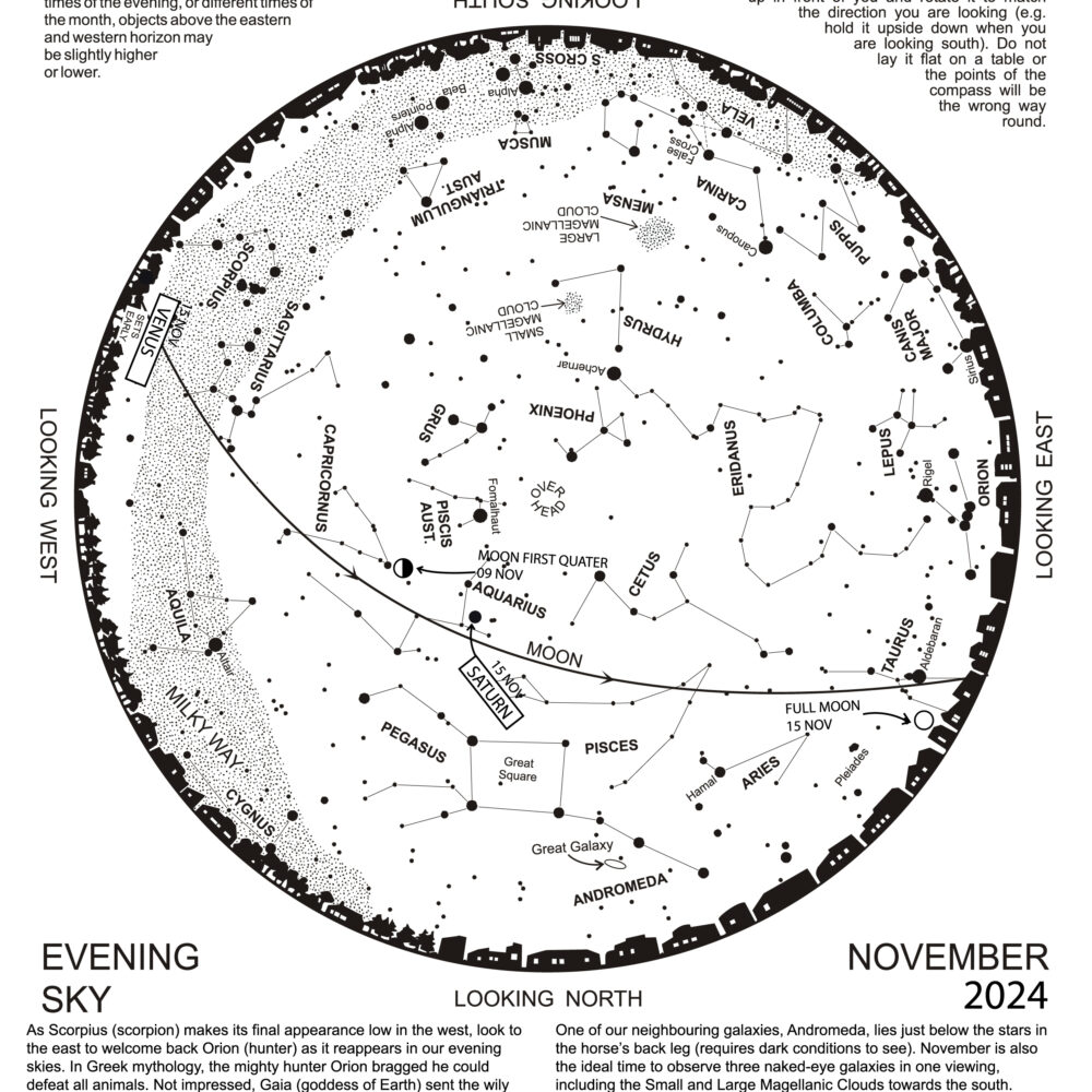 SAAO | Whats Up – January 2025
